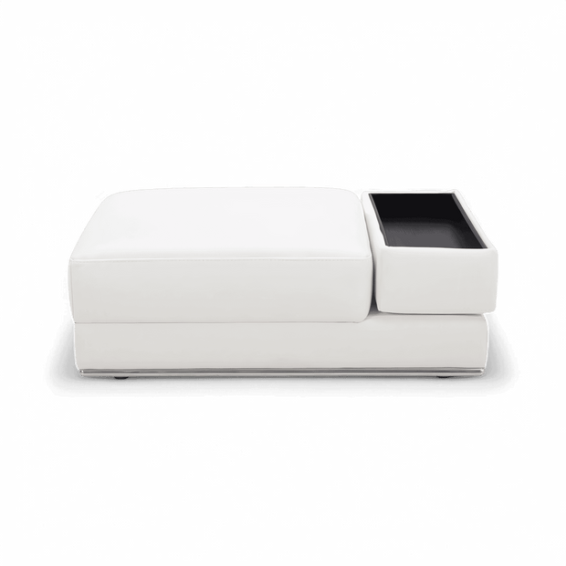 Modern Leather Sofas – Modani Furniture